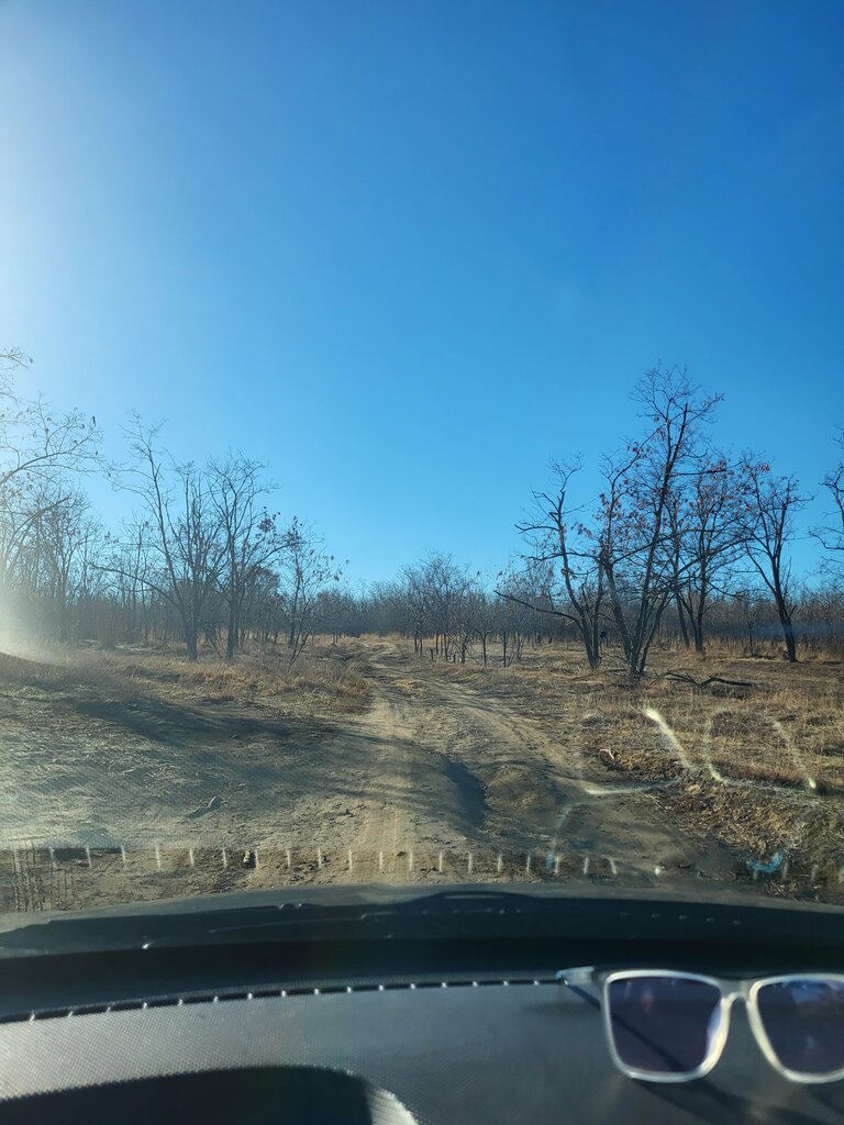 Kültür ve eğlence parkları Кисличанский парк, Svetlograd, foto
