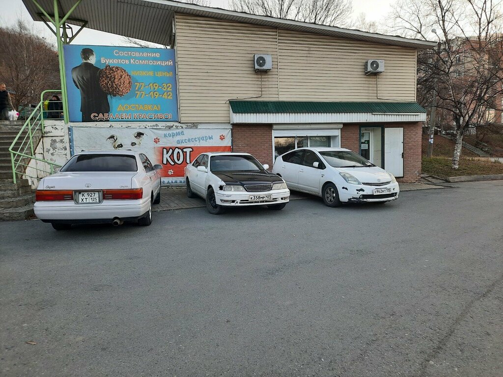 Petshop Kot i pes, Nahodka, foto
