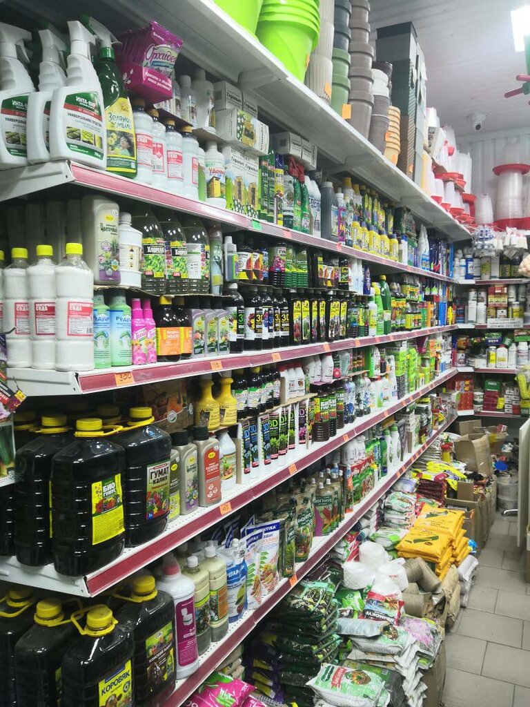 Petshop Dovsh, Grozni, foto