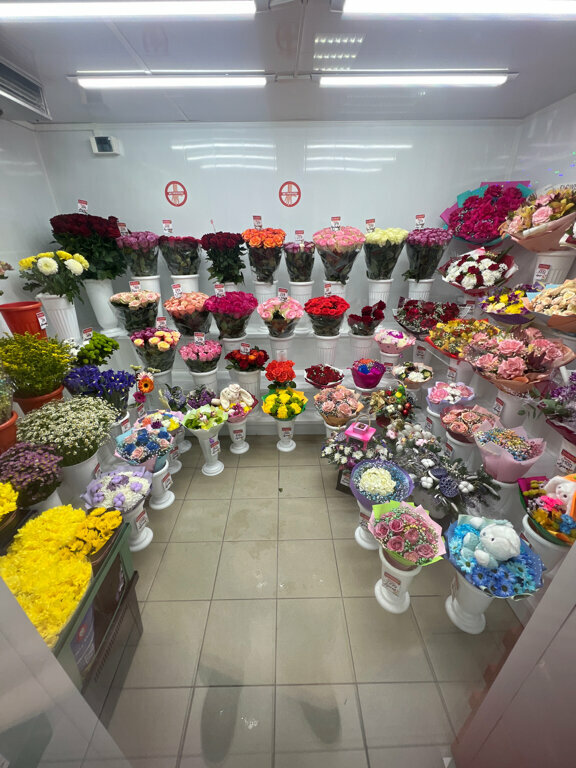 Çiçekçiler База цветов 24, Ramenskoye, foto