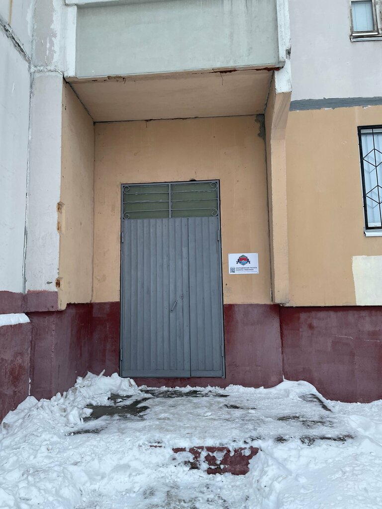 Sivil toplum kuruluşları Молодёжная Палата района Люблино, Moskova, foto