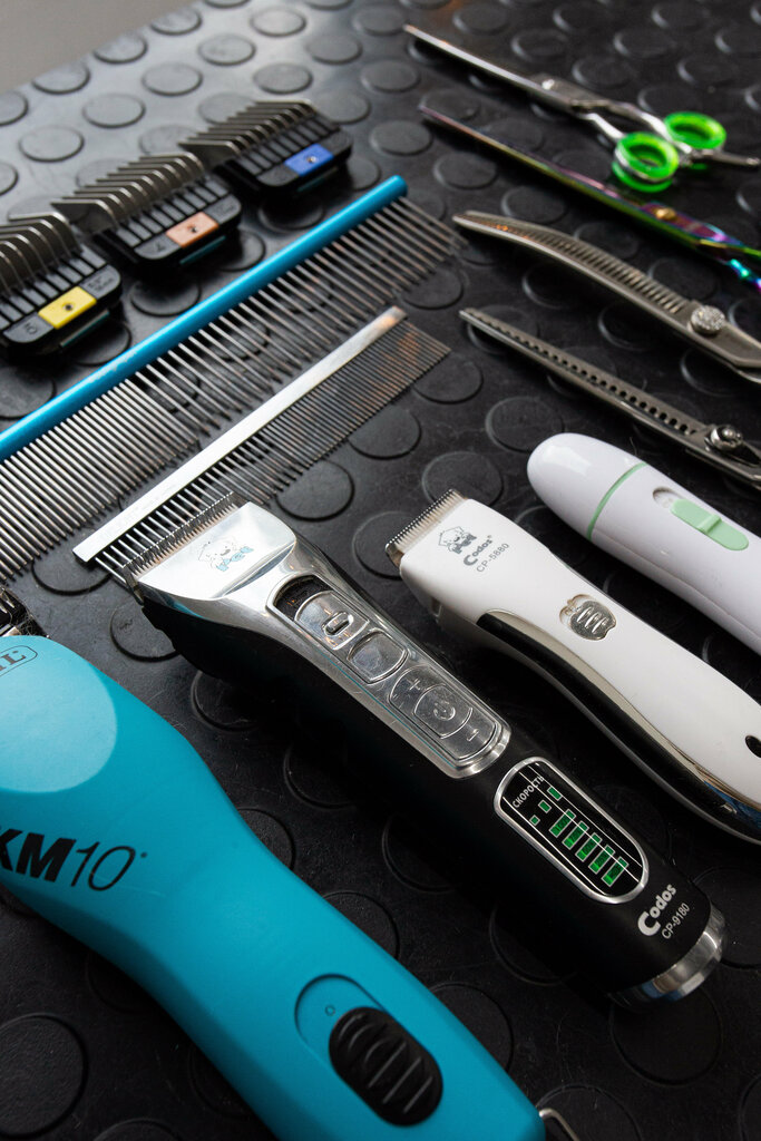 Evcil hayvan kuaförleri Chekhov, Minskaya oblastı, foto