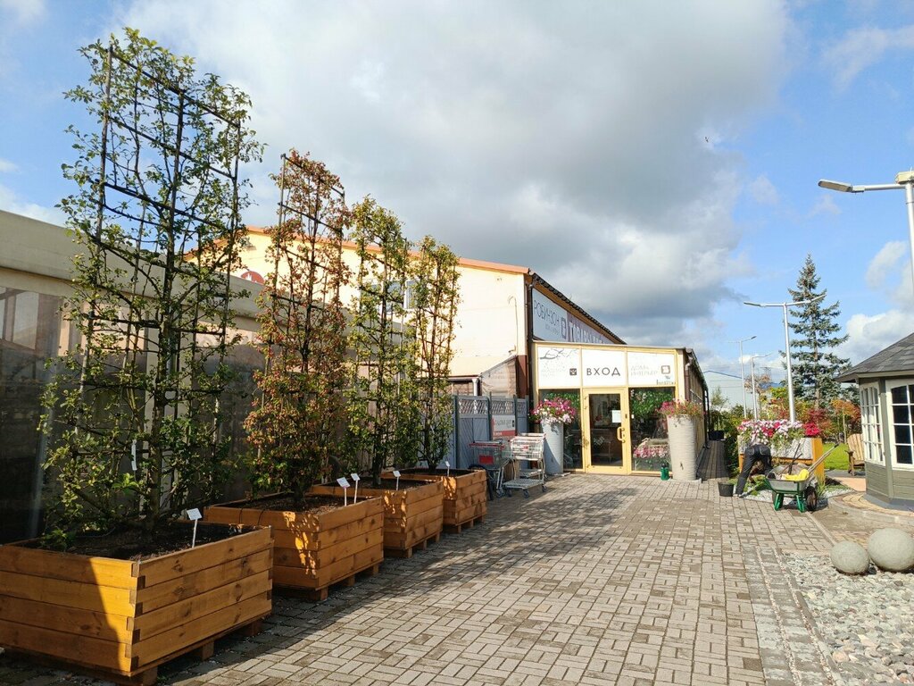 Ev eşyası mağazaları Дом и интерьер, Kaliningradskaya oblastı, foto