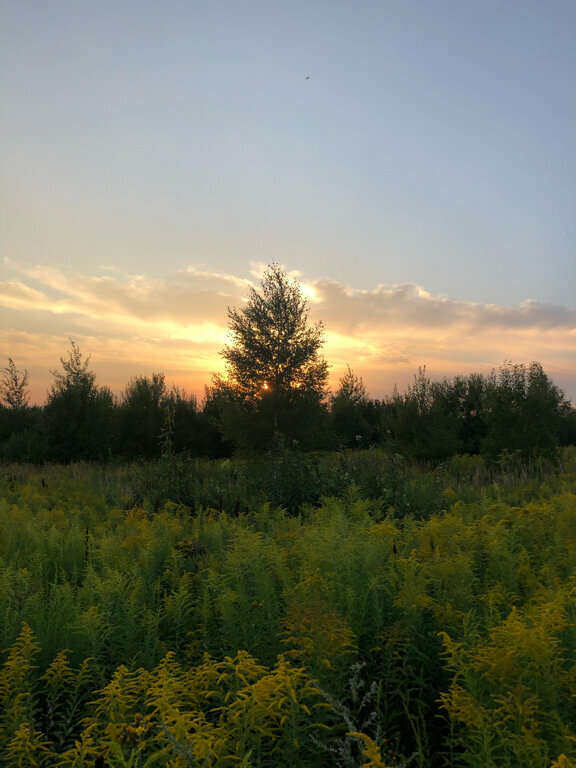 Yazlık yerleşim Слободские просторы, Tula, foto