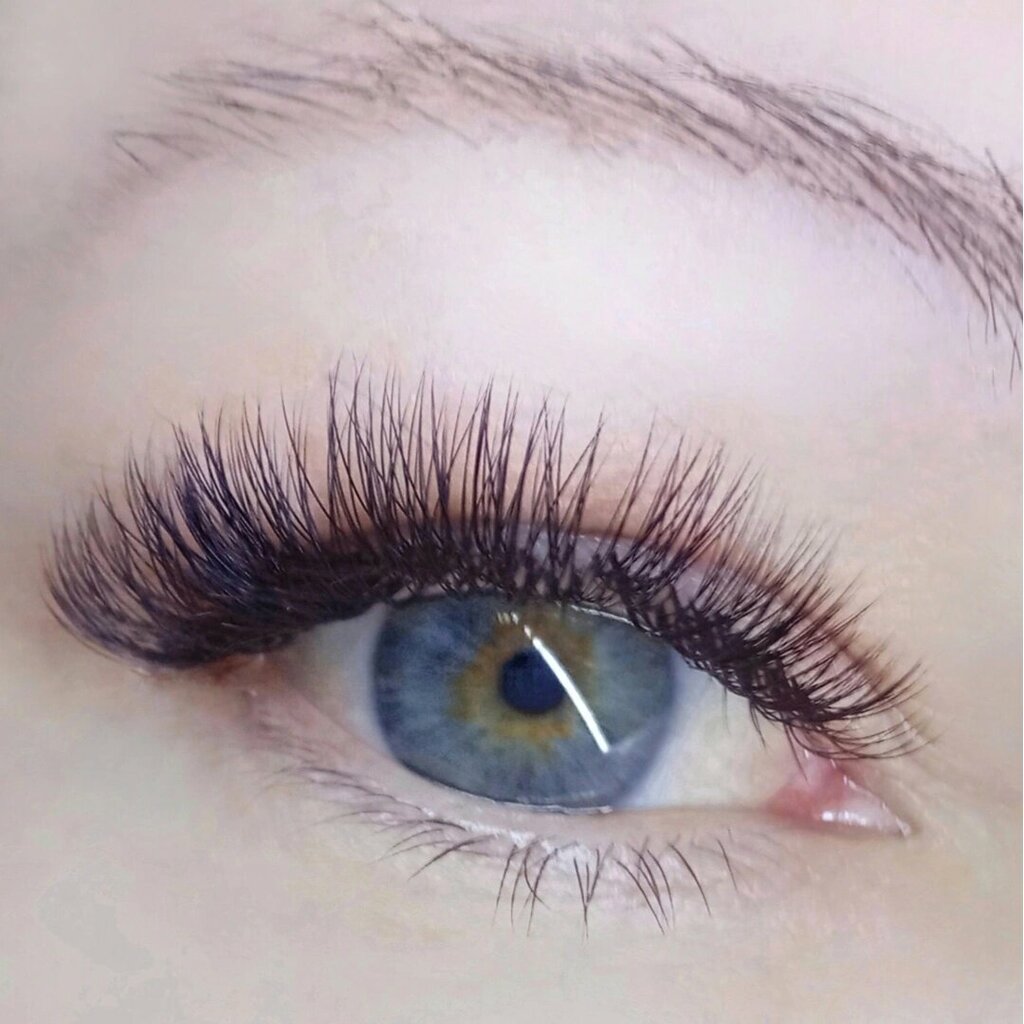 Kaş ve kirpik salonu Ресничная мастерская Ольги Жариковой, Simferopol (Akmescit), foto