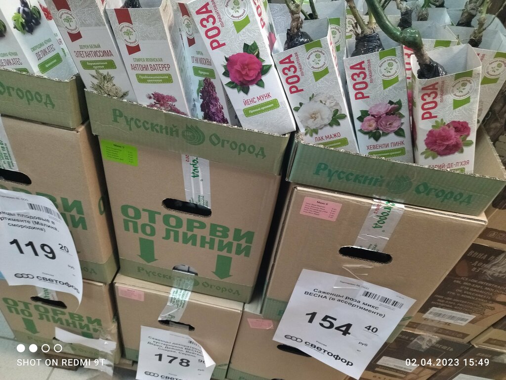 Market Светофор, Safonovo, foto