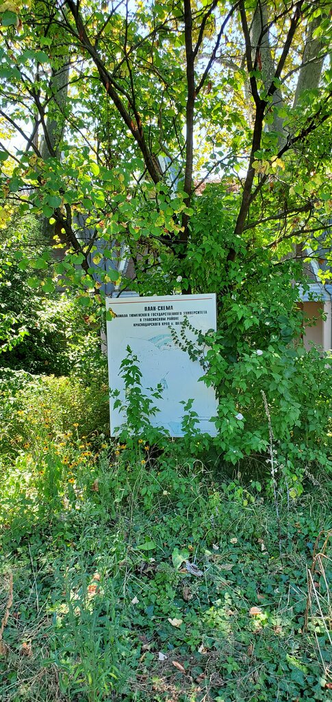 Yaz kampı Filial Tyumenskogo Gosudarstvennogo universiteta V Tuapsinskom rayone Krasnodarskogo kraya, Krasnodarski krayı, foto