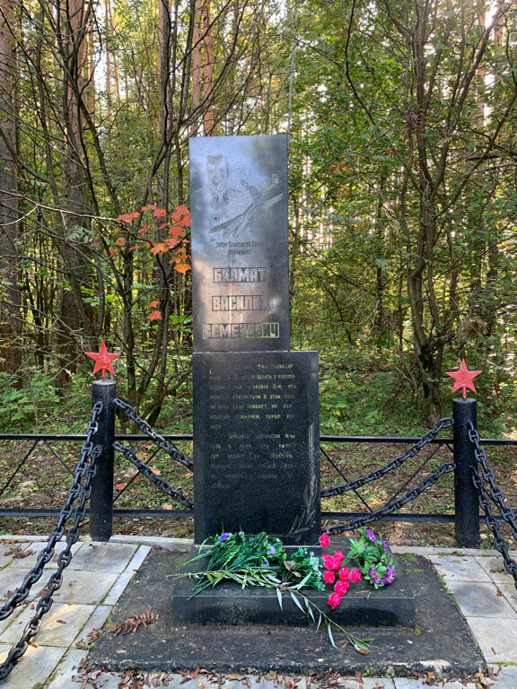 Anıt, heykel В.С. Балмат, Moskova ve Moskovskaya oblastı, foto