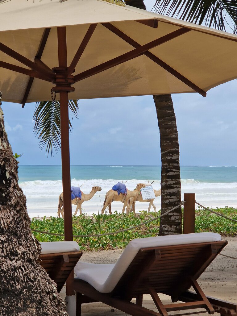 Kayak merkezi Almanara Luxury Resort Diani Beach, Dünya, foto
