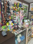 Зоомагазин (Zavodskaya ulitsa No:35, rabochiy posyolok Nekrasovskiy), petshop  Moskova ve Moskovskaya oblastından