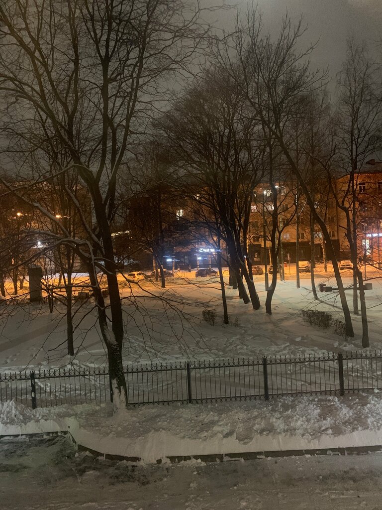 Kültür ve eğlence parkları Yuriya Andropova Square, Petrozavodsk, foto