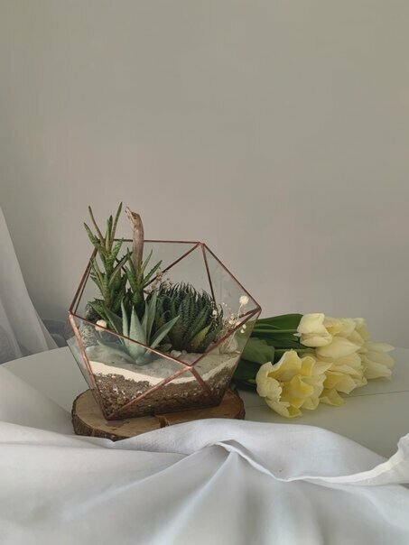 Hediyelik eşya mağazaları The Little Garden, флорариумы и декор, Cherepovets, foto