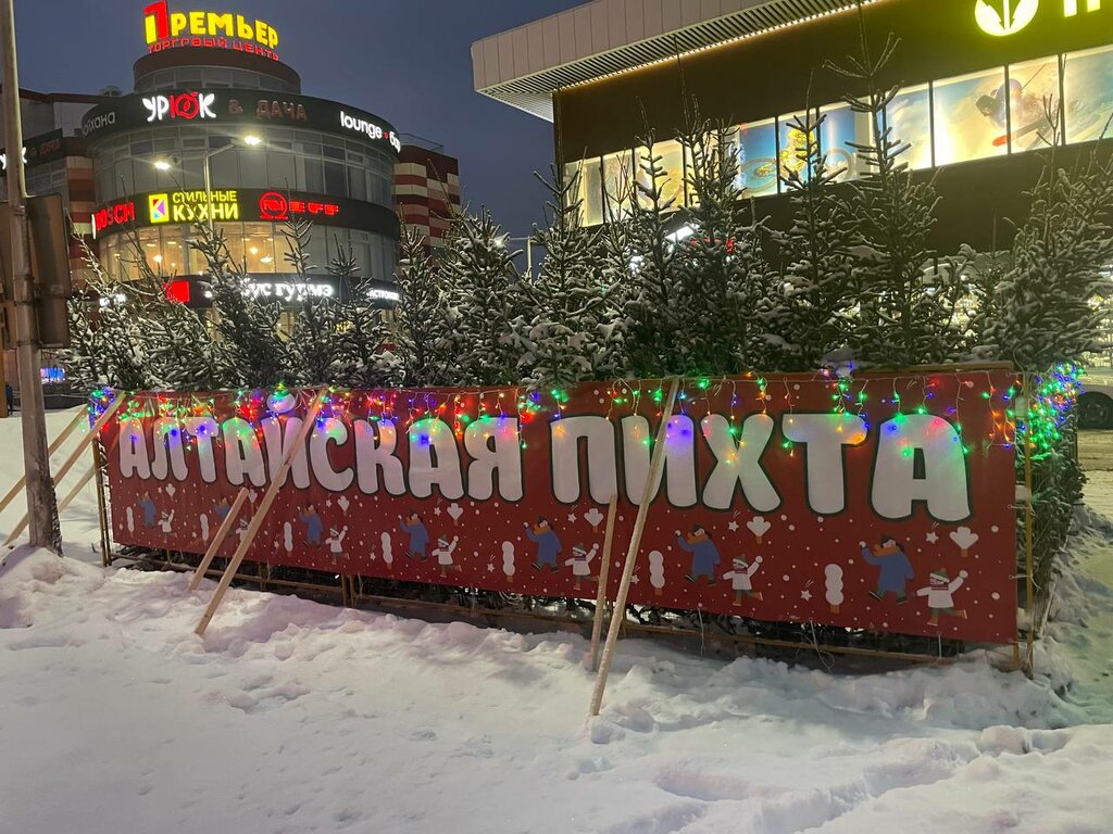 Çam ağacı pazarı Ёлки Пихты, Moskova ve Moskovskaya oblastı, foto