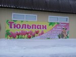 Тюльпан (Kommunisticheskaya ulitsa No:37), büyük beden mağazaları  Kupino'dan