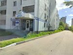 Travel Light (Omar Doszhanov Street No:137), uçak ve demiryolu biletleri  Kostanay'dan