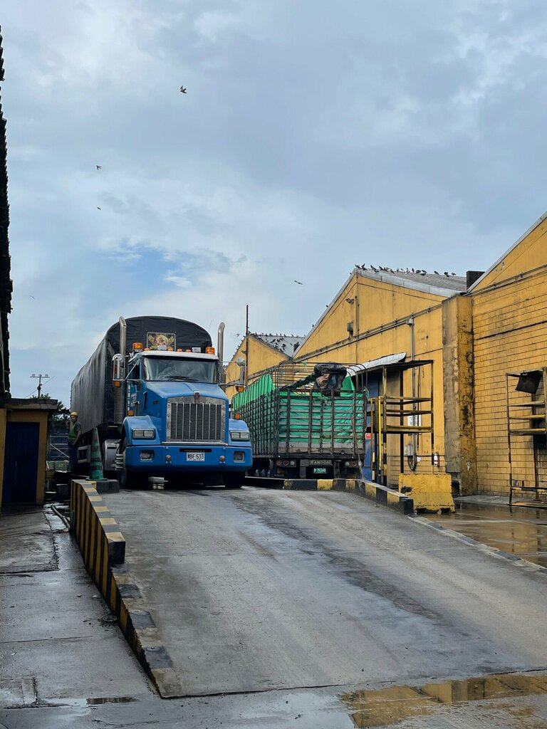 Dernekler, birlikler Sociedad portuaria regional Barranquilla, Barranquilla, foto