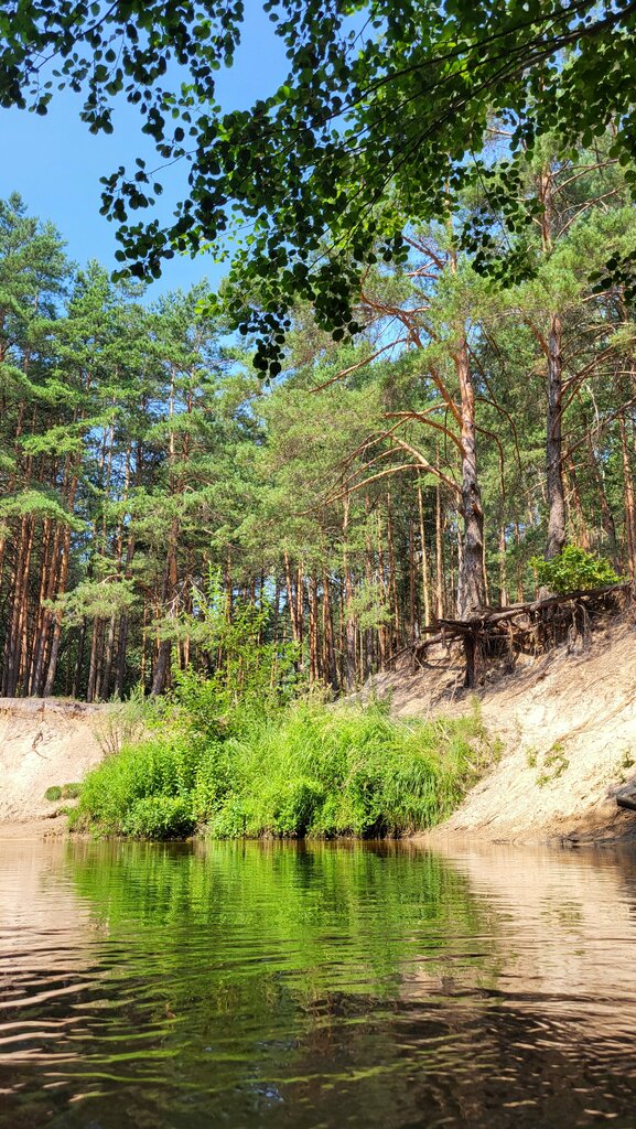 Kamp alanları Кемпинг, Gomelskaya oblastı, foto