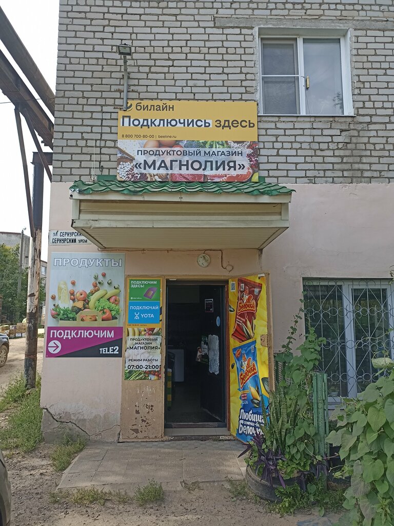 Süpermarket Магнолия, Yoshkar‑Ola, foto