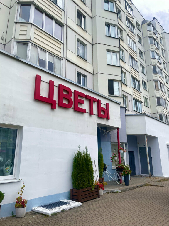 Çiçekçiler Цветы и подарки, Minsk, foto