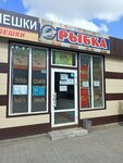 Рыбка (ulitsa Truda No:31/4), balık ve deniz ürünleri  Magnitogorsk'tan