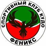 Phoenix (ulitsa Khalitova No:8), spor kulüpleri  Kazan'dan