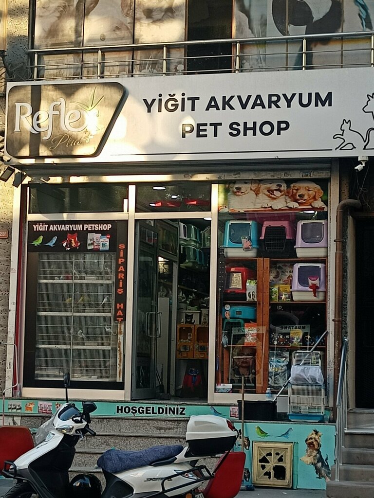 Petshop Yiğit Akvaryum & Pet Shop, İstanbul, foto