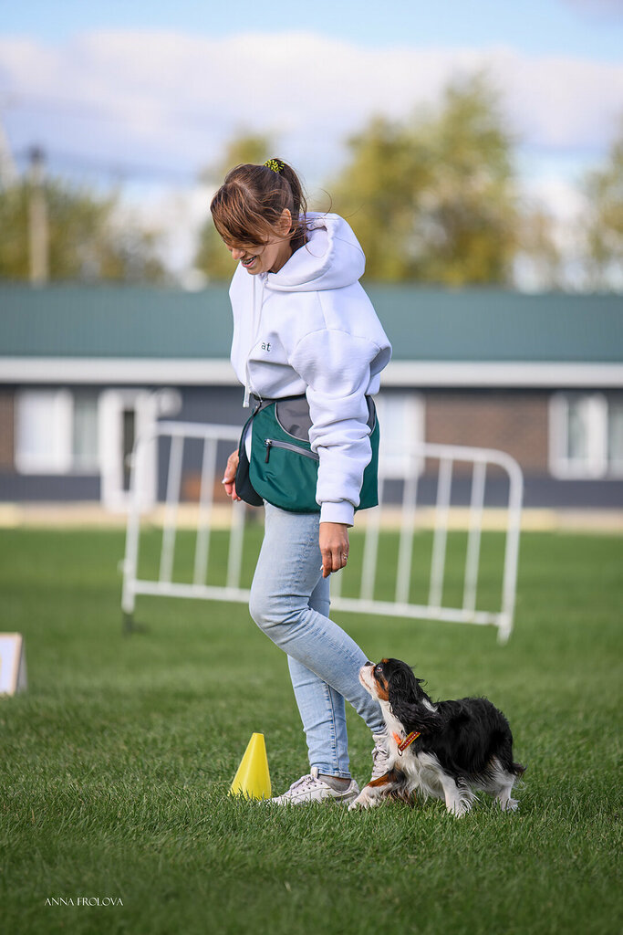 Evcil hayvanlar için ürünler Bimdog, İvanovo, foto