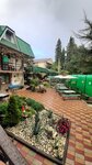 Горизонт (Sochinskoye Highway No:2А), otel  Soçi'den
