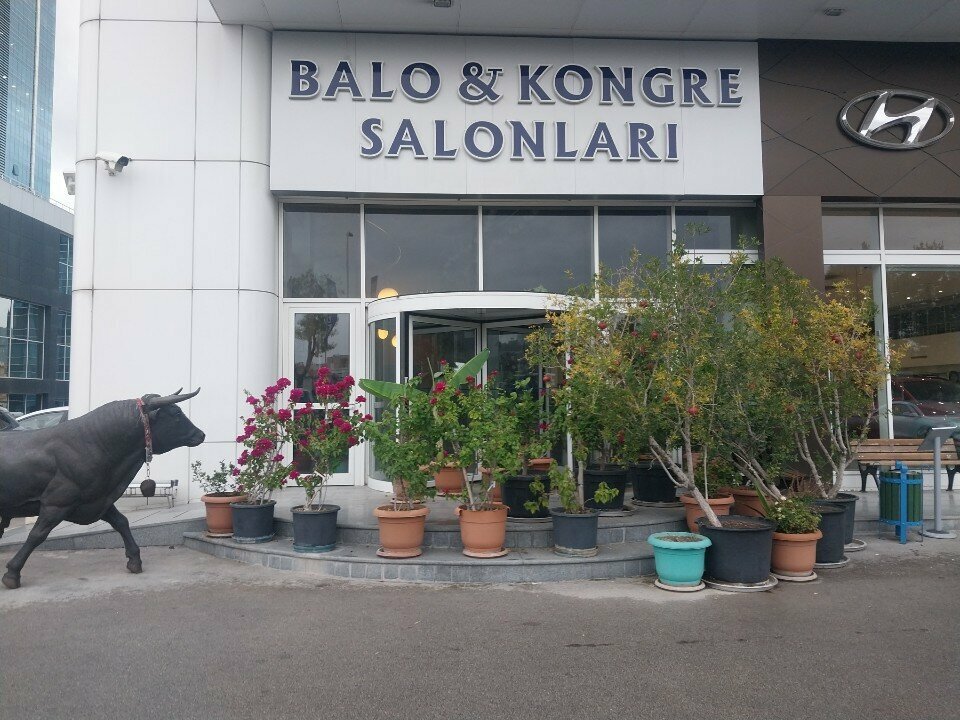 Sigorta şirketleri Aksigorta Kızılırmak, Ankara, foto