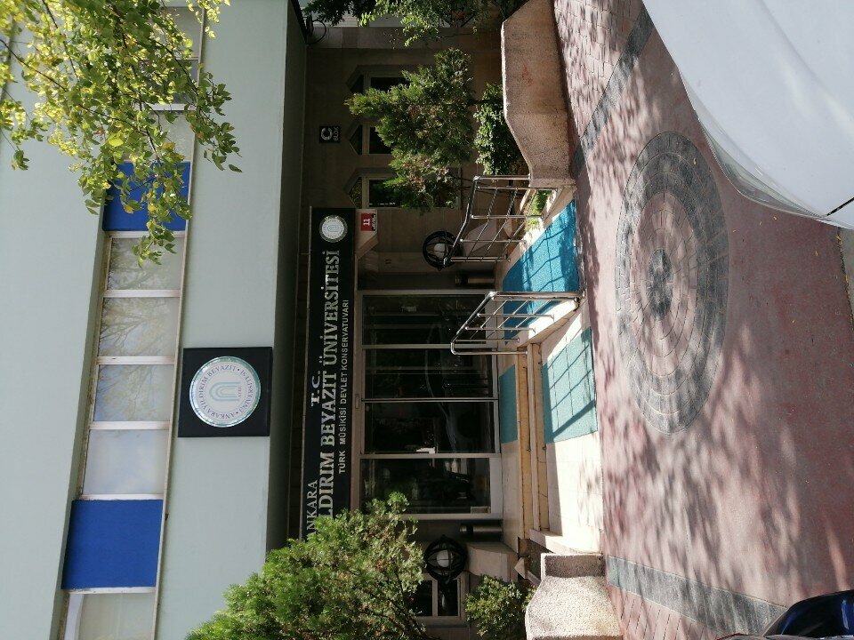 Web tasarım hizmetleri Türk Musıkisi.org, Ankara, foto