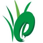 Ekip Grass - Ekip Spor Dilovası Fabrika (Köseler Mah., 18. Cad., No:14/1, Dilovası, Kocaeli), spor mağazaları  Dilovası'ndan