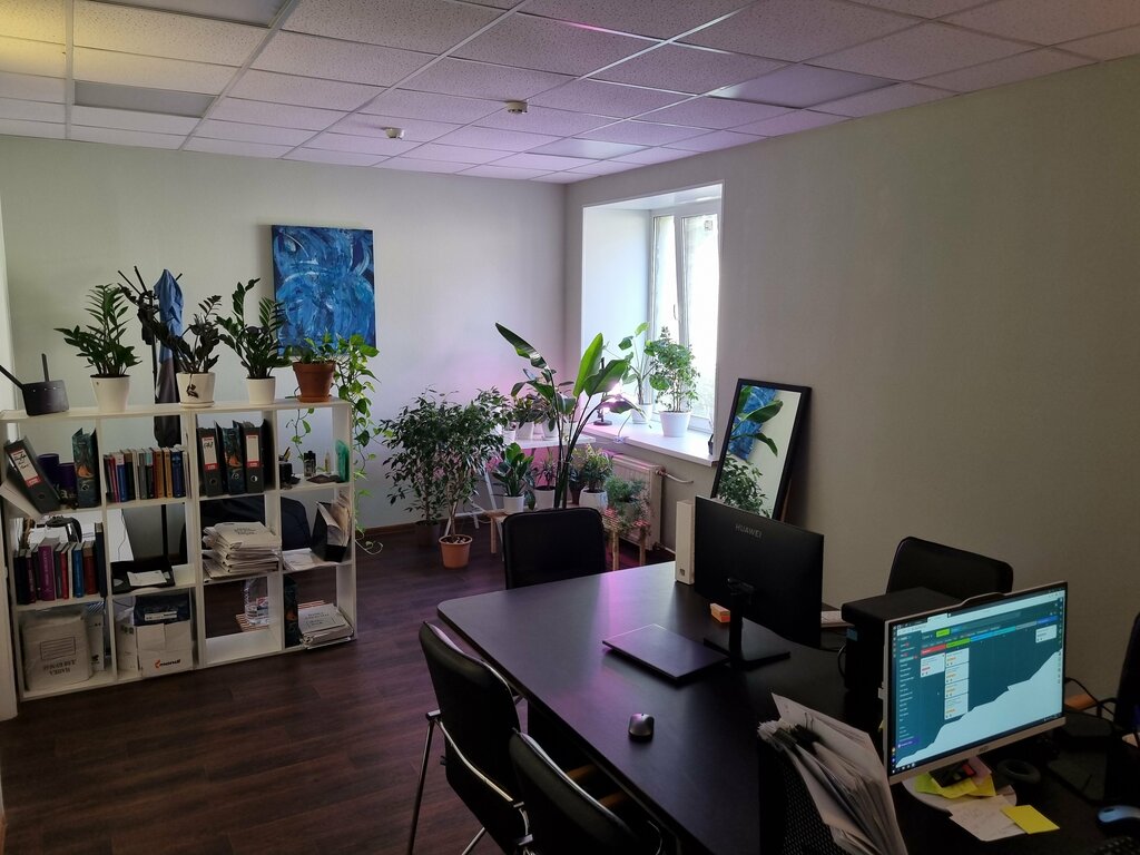 Hukuk büroları Gaius, Saint‑Petersburg, foto