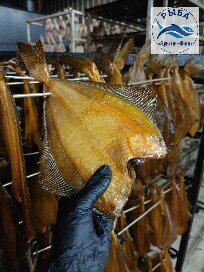 Balık ve deniz ürünleri Arctik-Fish, Kovdor, foto