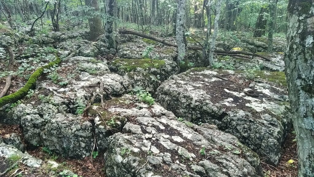 Doğa Каменные лабиринты, Kırım Cumhuriyeti, foto