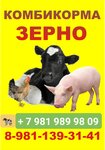 Furag (Volkhovskoye shosse No:11), yem ve yem katkı maddeleri  Kirishi'den