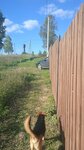 Водонапорная башня (Smolenskiy munitsipalny okrug, derevnya Yasnaya Polyana, Solnechnaya ulitsa), mühendislik altyapısı  Smolenskaya oblastından