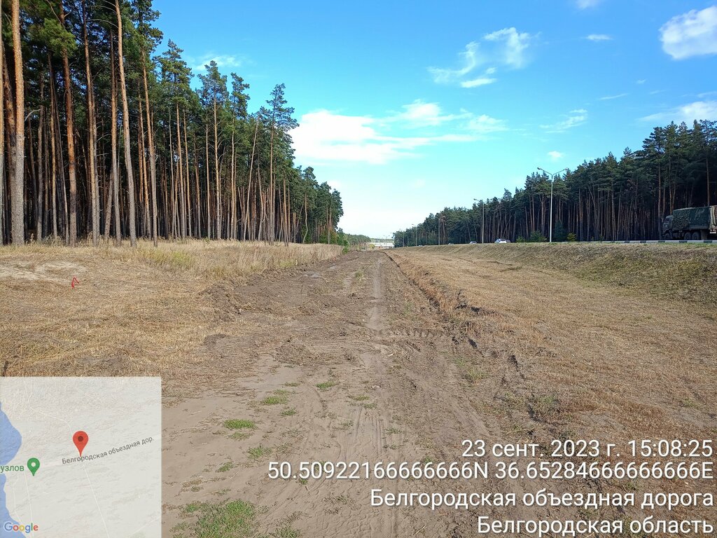 Orman урочище Пески, Belgorod, foto