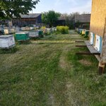 Пасека Абзалиловых (Krivoy pereulok No:20, Village of Srostki), bal ve arıcılık firmaları  Altayski krayından