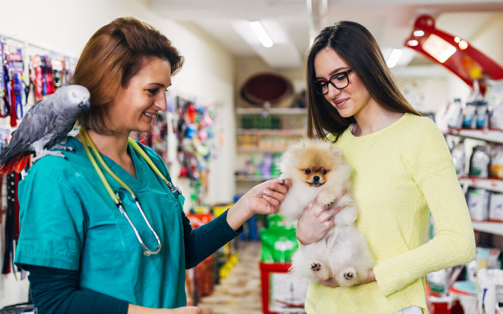 Veteriner klinikleri Pet Wellness, Dubai, foto