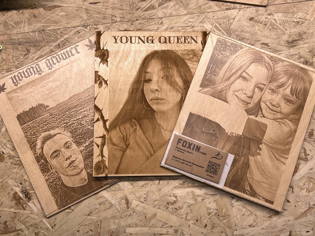 Lazer çalışmaları Foxin, Moskova ve Moskovskaya oblastı, foto