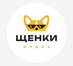 Puppies media (Skotoprogonnaya Street No:29/1), video üretimi  Moskova'dan