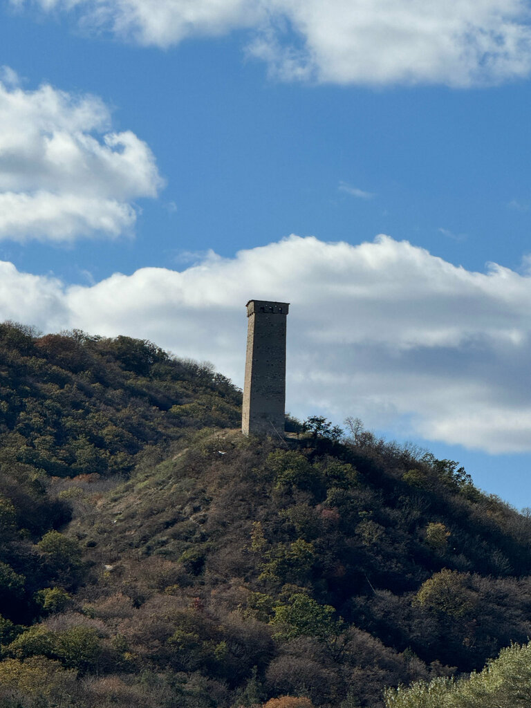 Turistik yerler Сванская башня, Tiflis, foto