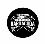 Barracuda detailing (pereulok Kalashnikova No:4), oto kaporta  Yakutsk'tan