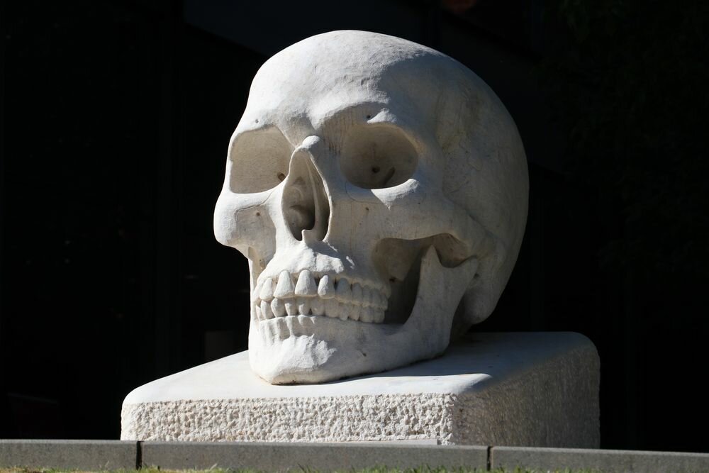 Müzeler ve sanat galerileri Музей судебной медицины, Saint‑Petersburg, foto