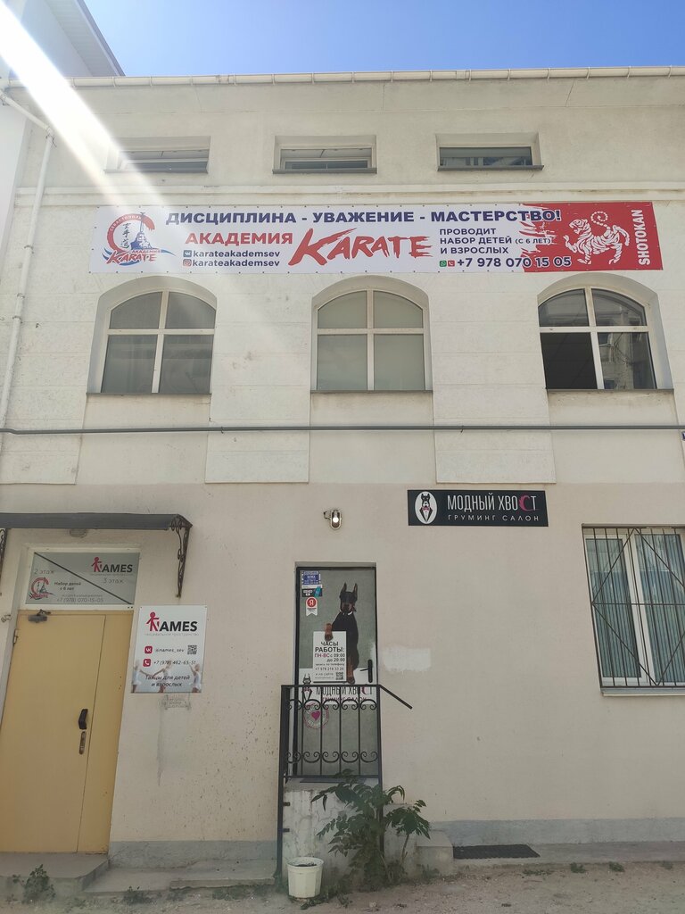 Spor kulüpleri Karate Academy, Sevastopol, foto