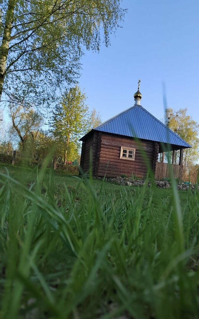 Ortodoks kiliseleri Часовня Спаса Преображения Господня, Pskovskaya oblastı, foto