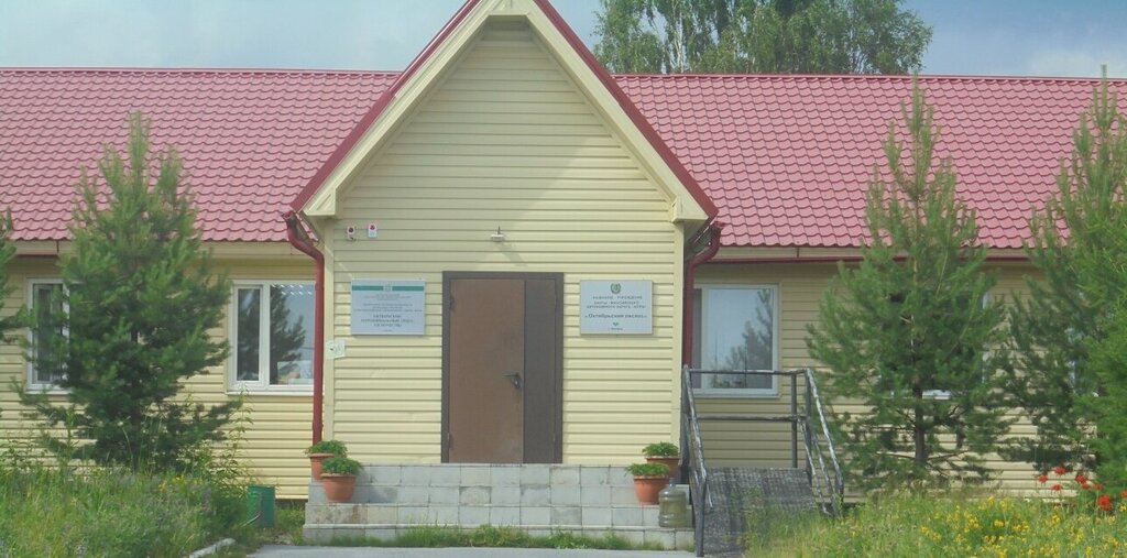 Orman işleri Октябрьский лесхоз, Niagan, foto