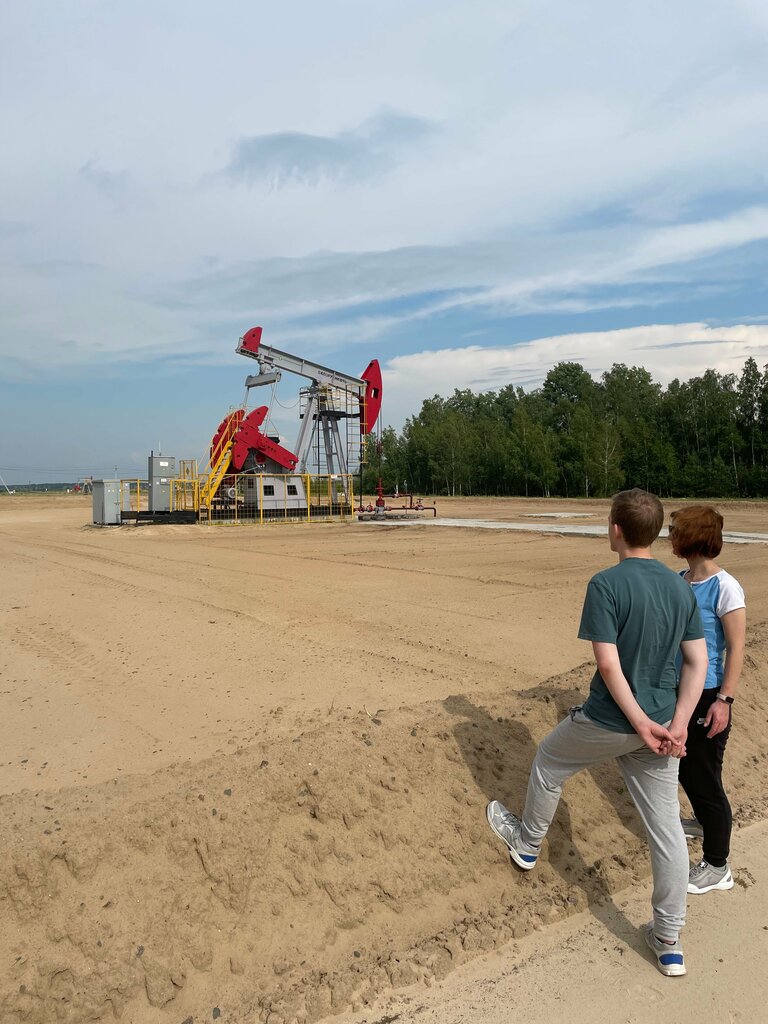 Turistik yerler Нефтяные насосы, Gomelskaya oblastı, foto