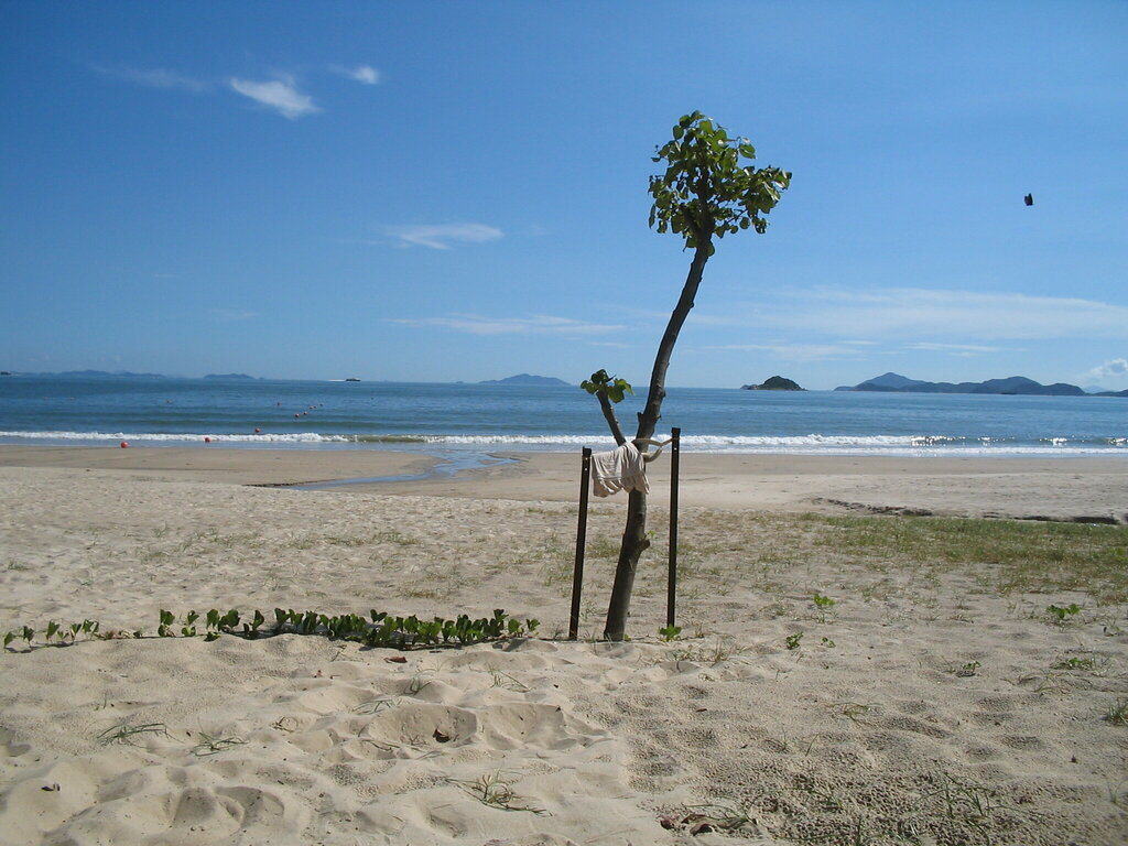 Plaj Tong Fuk Beach, Hong Kong, foto