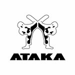 Ataka (Gorno-Altayskaya ulitsa No:38), spor kulüpleri  Gorno‑Altaysk'tan